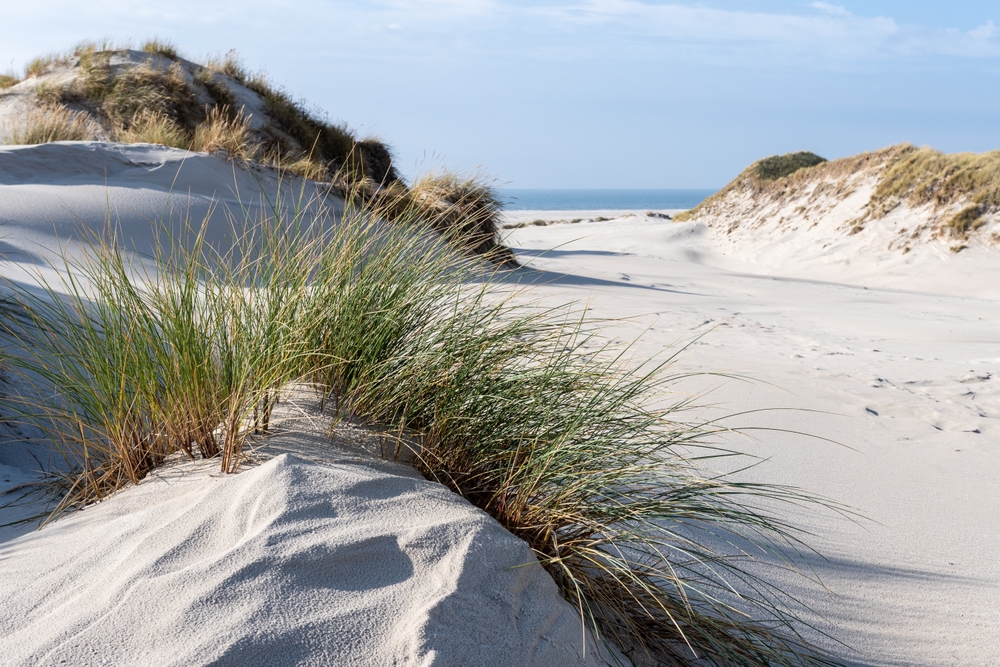 Amrum Hotel buchen für unvergessliche Erlebnisse - Urlaub ...
